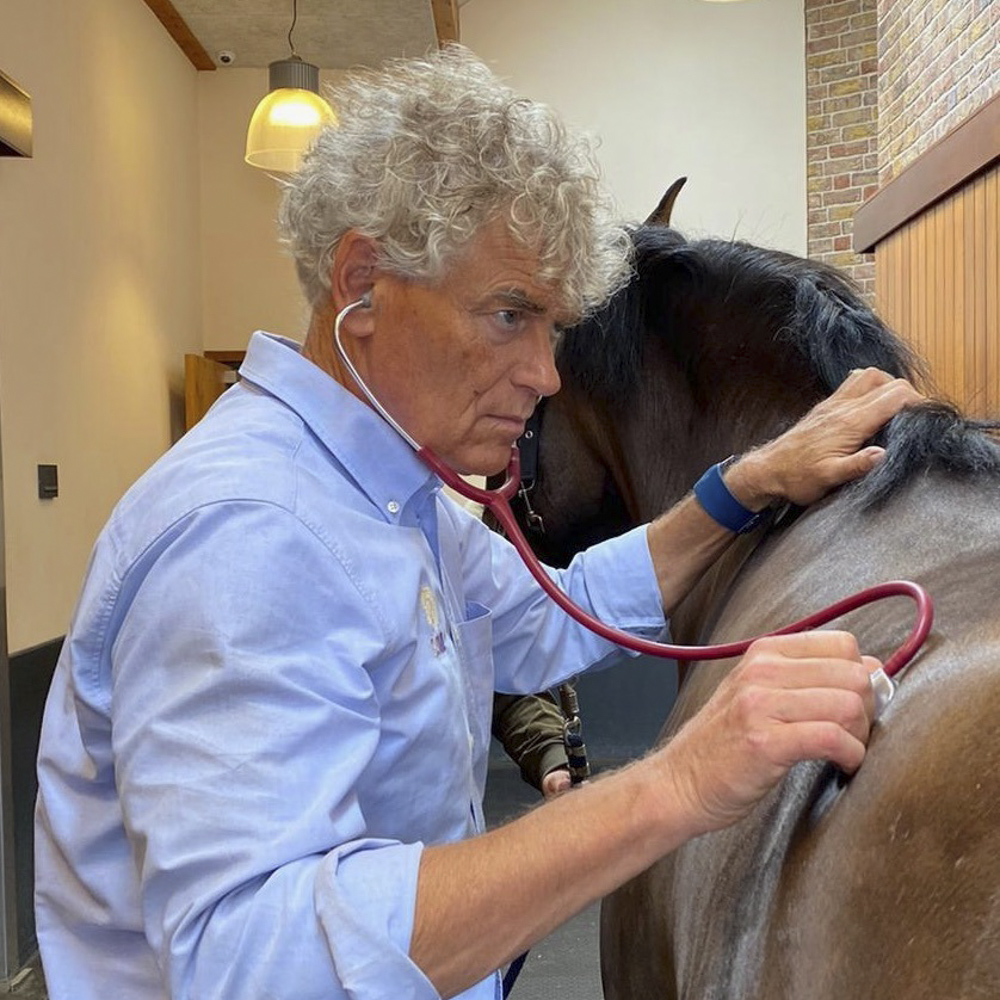 Dr. Frans van Toor | Equine Saddlefitting Specialists