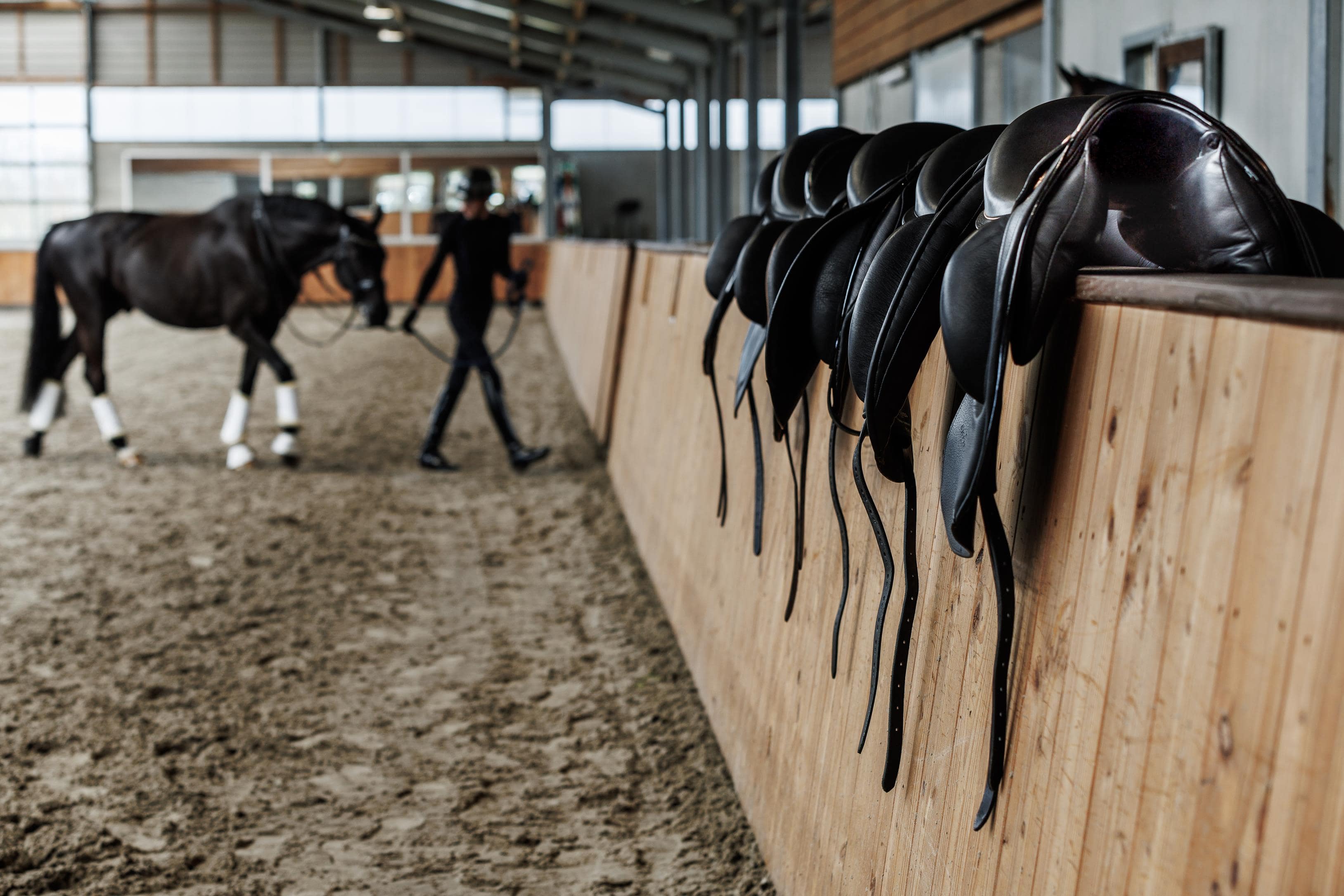 Zeven feiten over singels waarvan je paard wenst dat je ze weet ...