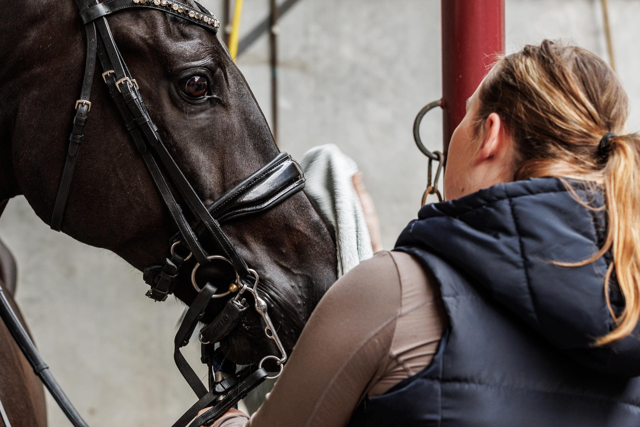 Voor Ruiters | Equine Saddlefitting Specialists