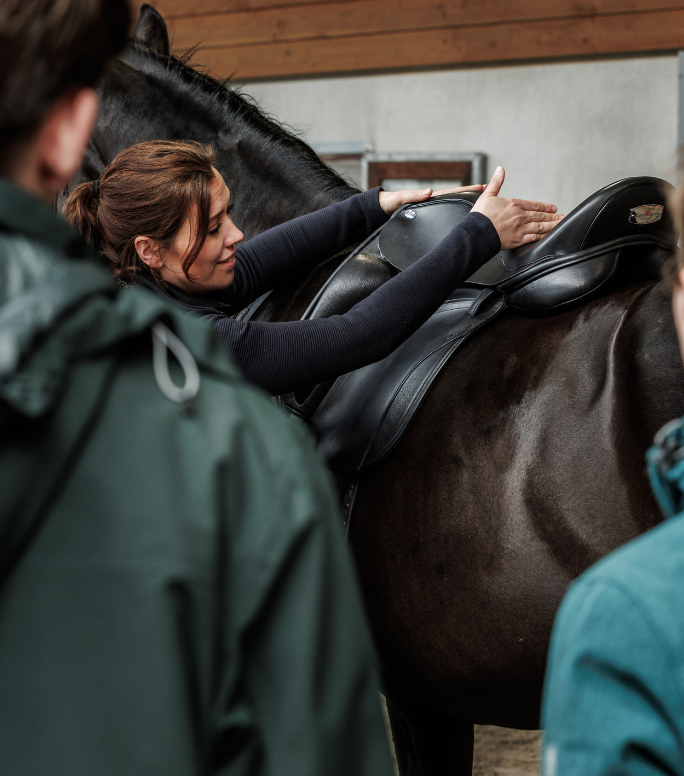 Het draait allemaal om balans in het zadel! | Equine Saddlefitting Specialists